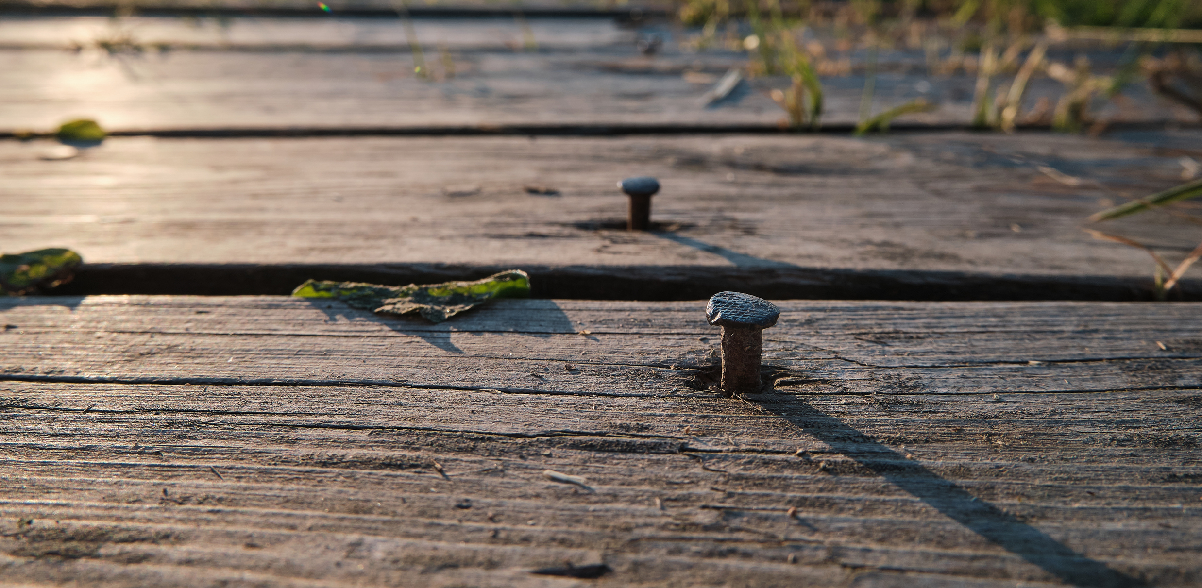 Home - Truth Planks